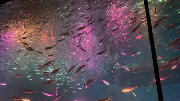 姑と同居なんて絶対ムリ！！: まいこの説教部屋